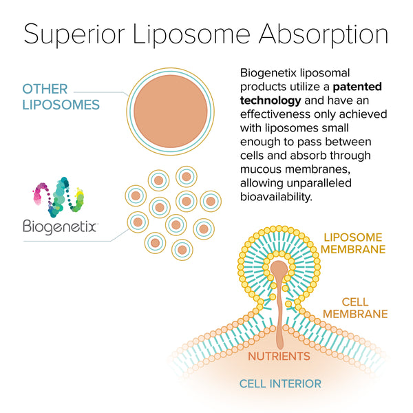 Regen Support Kit - Biogenetix